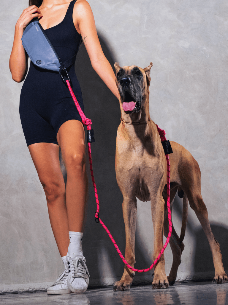 Retro Pink Running Hands-Free Dog Leash – Runner's Athletics